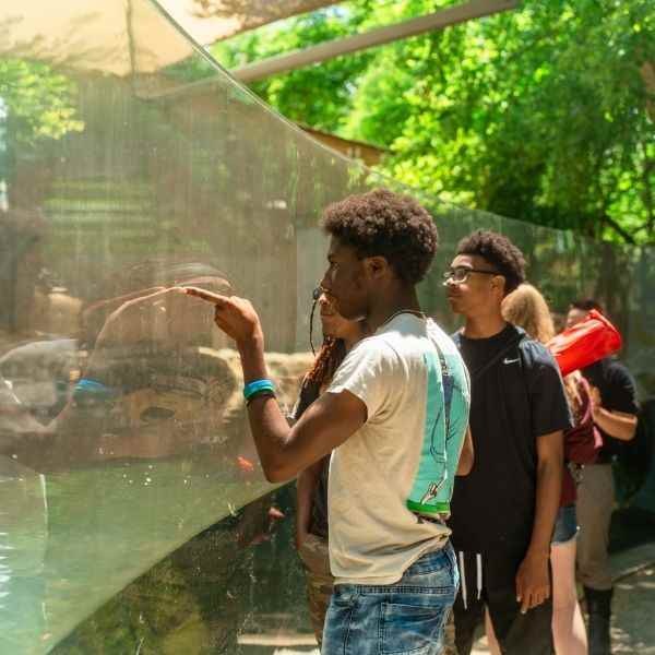 Wild Ones: A Teen Takeover | Cleveland Museum of Natural History