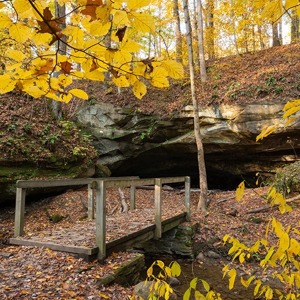 Brecksville Reservation